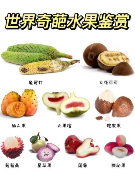 什么水果最奇特_100种奇特水果有哪些-第1张图片-山城妙识 什么水果最奇特_100种奇特水果有哪些-第1张图片-山城妙识