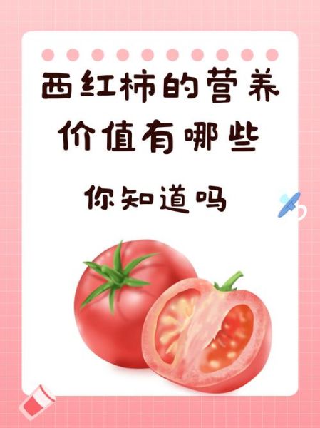 番茄的营养价值_番茄生吃还是熟吃更有营养-第1张图片-山城妙识 番茄的营养价值_番茄生吃还是熟吃更有营养-第1张图片-山城妙识