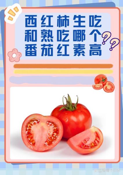番茄的营养价值_番茄生吃还是熟吃更有营养-第2张图片-山城妙识 番茄的营养价值_番茄生吃还是熟吃更有营养-第2张图片-山城妙识