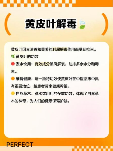 黄皮叶的功效与作用_黄皮叶的禁忌有哪些-第2张图片-山城妙识 黄皮叶的功效与作用_黄皮叶的禁忌有哪些-第2张图片-山城妙识
