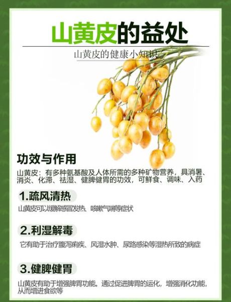 黄皮叶的功效与作用_黄皮叶的禁忌有哪些-第3张图片-山城妙识 黄皮叶的功效与作用_黄皮叶的禁忌有哪些-第3张图片-山城妙识