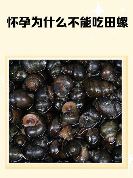 孕妇可以吃田螺吗_怀孕吃田螺注意事项-第2张图片-山城妙识 孕妇可以吃田螺吗_怀孕吃田螺注意事项-第2张图片-山城妙识