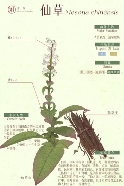 仙草冻怎么做_仙草冻做法步骤-第1张图片-山城妙识 仙草冻怎么做_仙草冻做法步骤-第1张图片-山城妙识