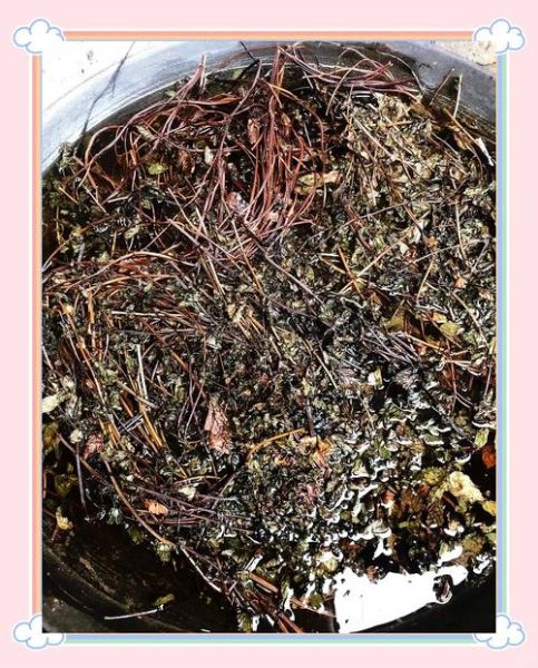 仙草冻怎么做_仙草冻做法步骤-第2张图片-山城妙识 仙草冻怎么做_仙草冻做法步骤-第2张图片-山城妙识