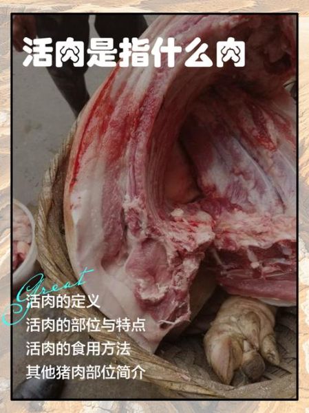 猪身上最差的肉叫什么_猪最差的肉是哪个部位-第2张图片-山城妙识 猪身上最差的肉叫什么_猪最差的肉是哪个部位-第2张图片-山城妙识