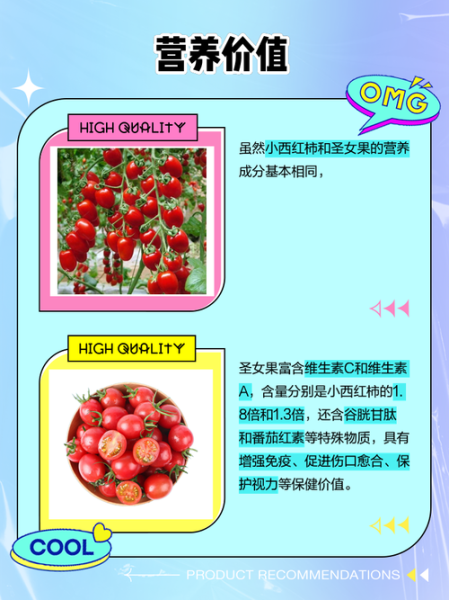 小番茄和大番茄的区别_哪个更营养-第3张图片-山城妙识 小番茄和大番茄的区别_哪个更营养-第3张图片-山城妙识