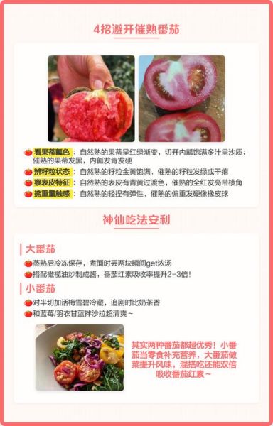 小番茄和大番茄的区别_哪个更营养-第2张图片-山城妙识 小番茄和大番茄的区别_哪个更营养-第2张图片-山城妙识