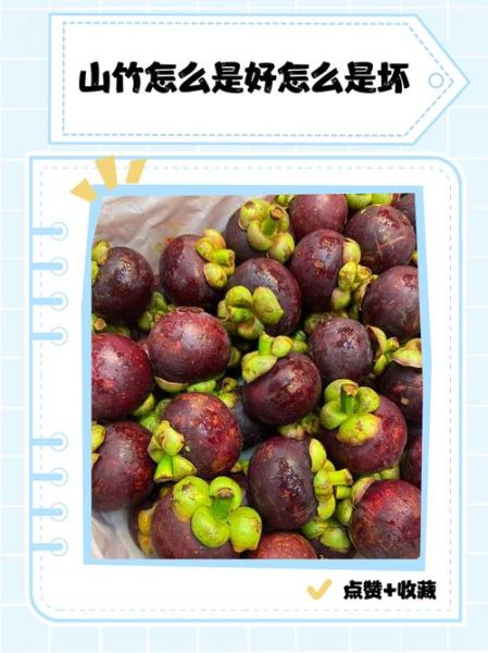 山竹怎么挑选_山竹一天吃几个合适-第2张图片-山城妙识 山竹怎么挑选_山竹一天吃几个合适-第2张图片-山城妙识