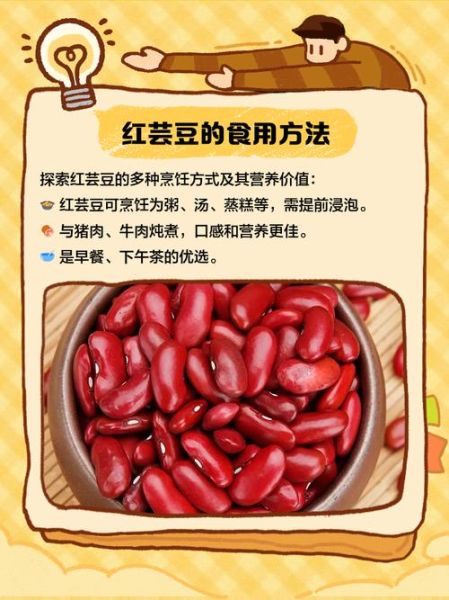 红芸豆的功效与禁忌_红芸豆怎么吃最健康-第3张图片-山城妙识 红芸豆的功效与禁忌_红芸豆怎么吃最健康-第3张图片-山城妙识