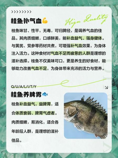 桂鱼的功效与作用_桂鱼的禁忌有哪些-第1张图片-山城妙识