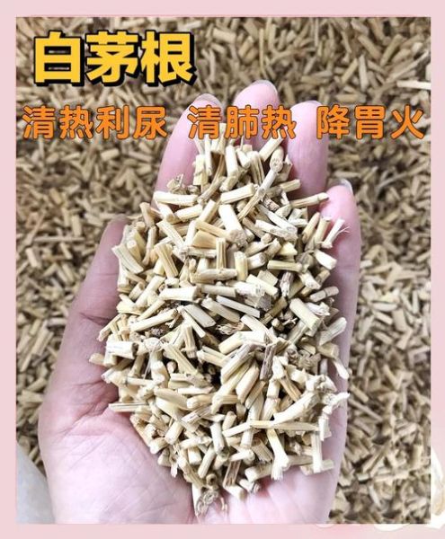 白茅根晚上不能喝_白茅根晚上喝会失眠吗-第3张图片-山城妙识 白茅根晚上不能喝_白茅根晚上喝会失眠吗-第3张图片-山城妙识