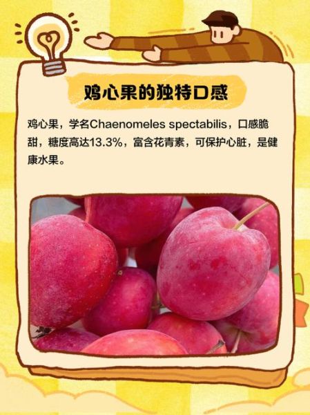 鸡心果怎么挑选_鸡心果的功效与作用-第2张图片-山城妙识