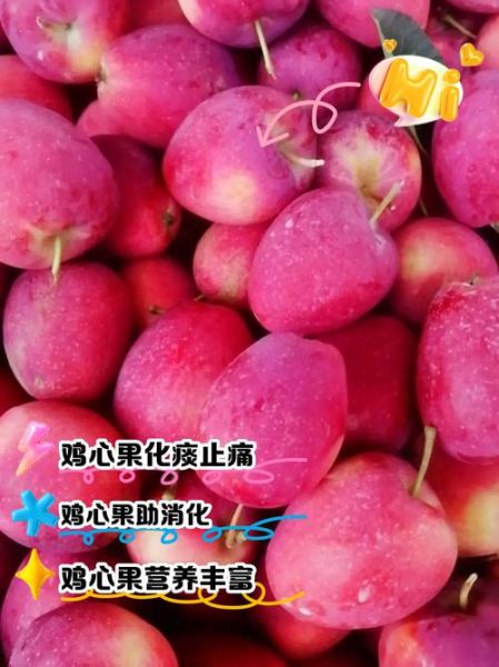 鸡心果怎么挑选_鸡心果的功效与作用-第3张图片-山城妙识