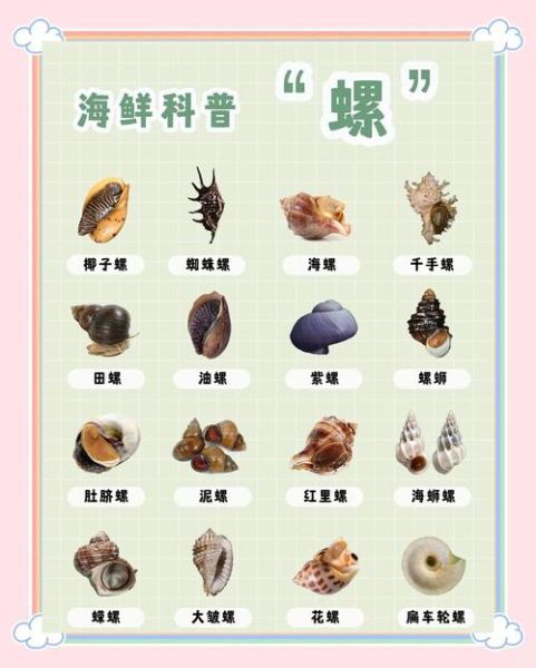 海螺哪些部位不能吃_海螺内脏图解-第2张图片-山城妙识 海螺哪些部位不能吃_海螺内脏图解-第2张图片-山城妙识