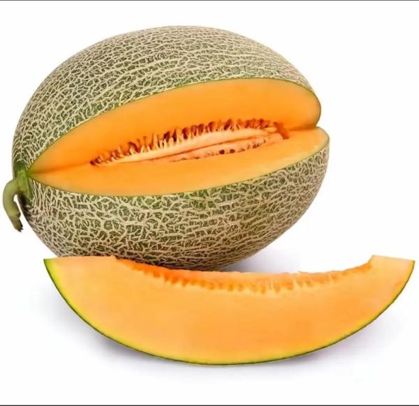 哈密瓜的英文怎么读_hami_melon发音技巧-第1张图片-山城妙识