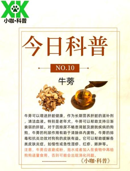 牛蒡的功效与作用及食用方法_牛蒡怎么吃效果最好-第3张图片-山城妙识 牛蒡的功效与作用及食用方法_牛蒡怎么吃效果最好-第3张图片-山城妙识