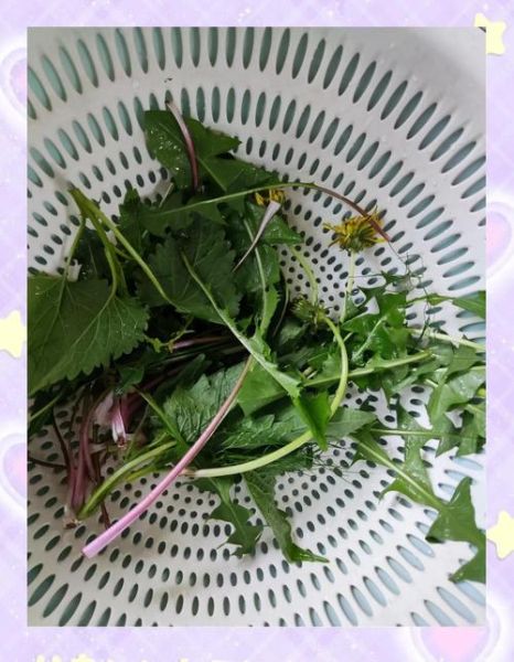 蒲公英炒菜怎么炒好吃_蒲公英炒蛋的做法窍门-第1张图片-山城妙识 蒲公英炒菜怎么炒好吃_蒲公英炒蛋的做法窍门-第1张图片-山城妙识