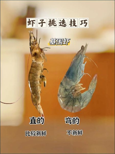 虾怎么保存才新鲜_虾线怎么挑最干净-第1张图片-山城妙识 虾怎么保存才新鲜_虾线怎么挑最干净-第1张图片-山城妙识