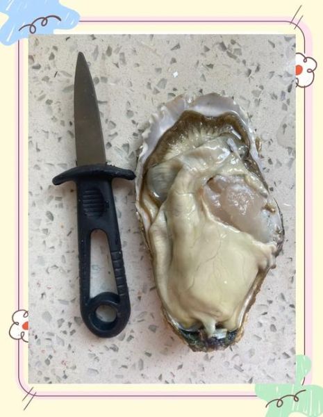 活生蚝怎么保存_活生蚝可以放多久-第3张图片-山城妙识 活生蚝怎么保存_活生蚝可以放多久-第3张图片-山城妙识