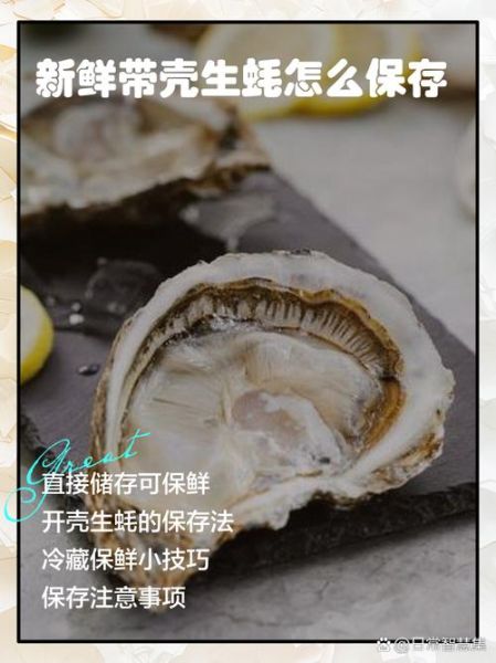 活生蚝怎么保存_活生蚝可以放多久-第2张图片-山城妙识 活生蚝怎么保存_活生蚝可以放多久-第2张图片-山城妙识