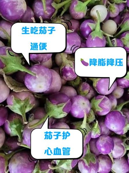 生吃茄子有毒吗_茄子生吃会中毒吗-第1张图片-山城妙识 生吃茄子有毒吗_茄子生吃会中毒吗-第1张图片-山城妙识