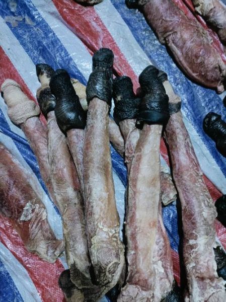 驴鞭多少钱一斤_驴鞭价格行情-第1张图片-山城妙识 驴鞭多少钱一斤_驴鞭价格行情-第1张图片-山城妙识