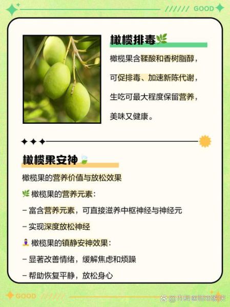 长期吃橄榄的副作用有哪些_长期吃橄榄会胖吗-第3张图片-山城妙识 长期吃橄榄的副作用有哪些_长期吃橄榄会胖吗-第3张图片-山城妙识