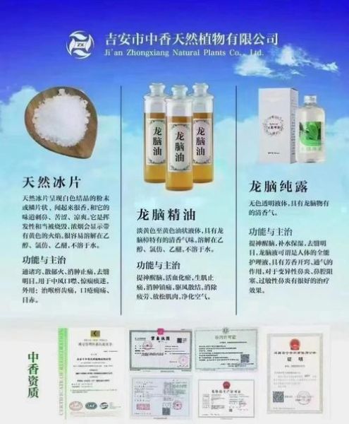 冰片的功效与作用_冰片外用方法-第2张图片-山城妙识 冰片的功效与作用_冰片外用方法-第2张图片-山城妙识