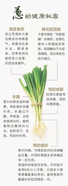 大葱炒菜怎么炒才香_大葱炒菜用葱白还是葱绿-第3张图片-山城妙识