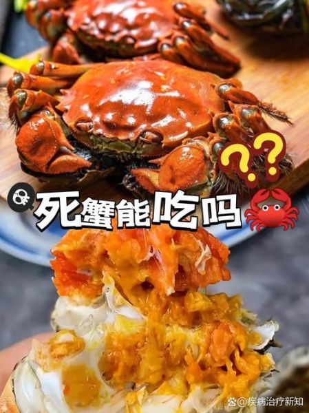 大闸蟹刚死能吃吗_如何判断刚死大闸蟹是否安全-第3张图片-山城妙识