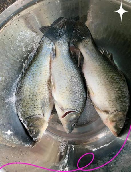 蒸鲫鱼怎么做好吃_蒸鲫鱼的家常做法-第2张图片-山城妙识 蒸鲫鱼怎么做好吃_蒸鲫鱼的家常做法-第2张图片-山城妙识