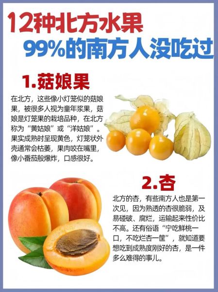 南方特产水果有哪些_如何挑选最甜-第3张图片-山城妙识 南方特产水果有哪些_如何挑选最甜-第3张图片-山城妙识