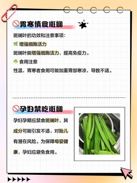 斑斓叶在中国叫什么_斑斓叶和香兰叶区别-第2张图片-山城妙识 斑斓叶在中国叫什么_斑斓叶和香兰叶区别-第2张图片-山城妙识