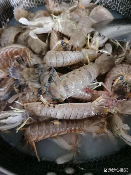 白水煮皮皮虾的正确做法_皮皮虾煮多久才熟-第3张图片-山城妙识 白水煮皮皮虾的正确做法_皮皮虾煮多久才熟-第3张图片-山城妙识