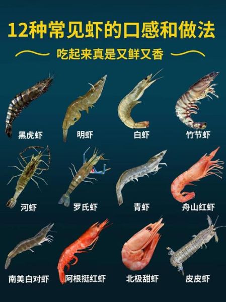 明虾和基围虾的区别_哪个更好吃-第2张图片-山城妙识 明虾和基围虾的区别_哪个更好吃-第2张图片-山城妙识