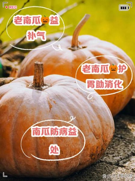 南瓜营养价值高吗_南瓜禁忌人群有哪些-第3张图片-山城妙识 南瓜营养价值高吗_南瓜禁忌人群有哪些-第3张图片-山城妙识