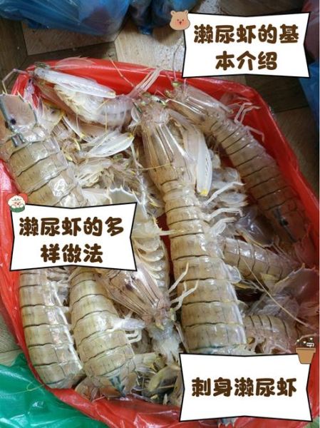 濑尿虾是什么虾_濑尿虾和皮皮虾区别-第3张图片-山城妙识 濑尿虾是什么虾_濑尿虾和皮皮虾区别-第3张图片-山城妙识
