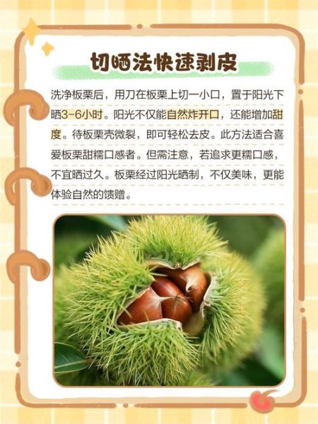 板栗怎么煮好剥壳_生板栗快速去皮方法-第2张图片-山城妙识 板栗怎么煮好剥壳_生板栗快速去皮方法-第2张图片-山城妙识