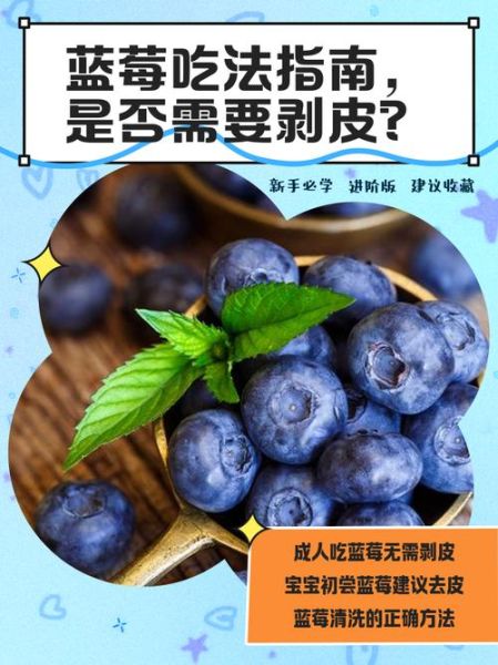 蓝莓怎么吃要剥皮吗_蓝莓不剥皮可以吃吗-第1张图片-山城妙识 蓝莓怎么吃要剥皮吗_蓝莓不剥皮可以吃吗-第1张图片-山城妙识