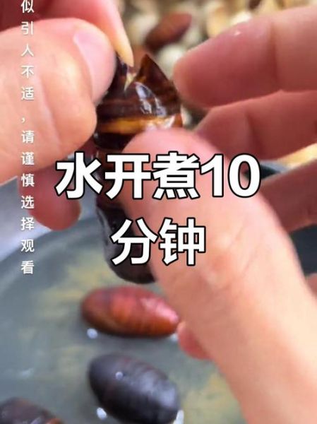 水煮蚕蛹的做法时间_水煮蚕蛹要煮多久才熟-第1张图片-山城妙识