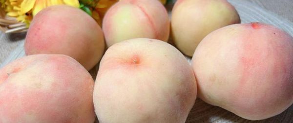 南汇水蜜桃多少钱一斤_南汇水蜜桃价格表2024-第1张图片-山城妙识