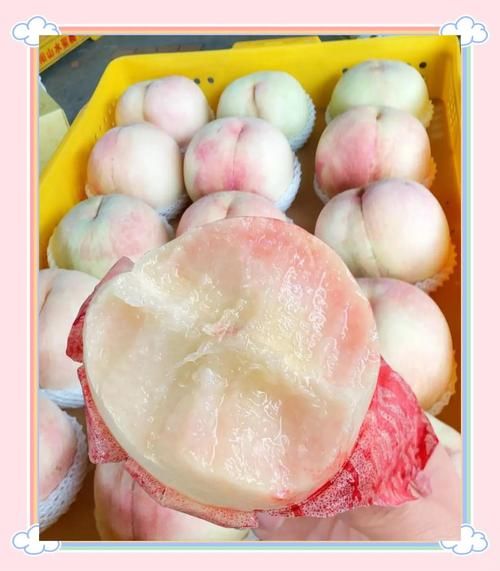 南汇水蜜桃多少钱一斤_南汇水蜜桃价格表2024-第2张图片-山城妙识