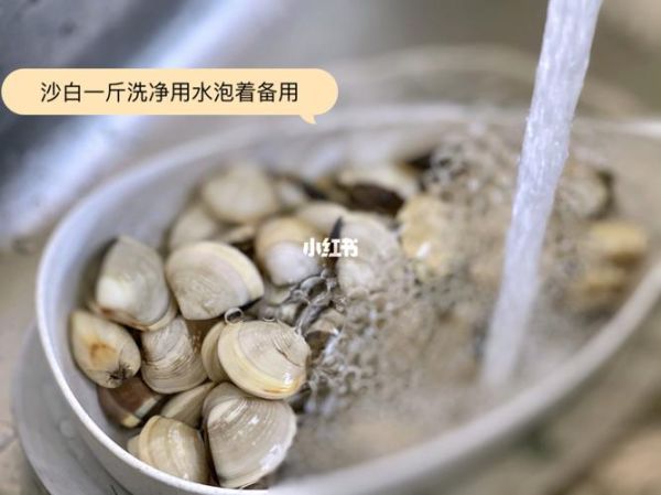 沙白汤怎么做_沙白汤的做法步骤-第3张图片-山城妙识 沙白汤怎么做_沙白汤的做法步骤-第3张图片-山城妙识