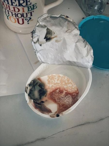 吃了过期奶酪会死吗_过期奶酪致死原因-第1张图片-山城妙识 吃了过期奶酪会死吗_过期奶酪致死原因-第1张图片-山城妙识