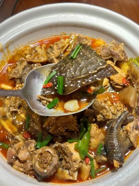 甲鱼怎么做才好吃_甲鱼汤的家常做法-第1张图片-山城妙识 甲鱼怎么做才好吃_甲鱼汤的家常做法-第1张图片-山城妙识