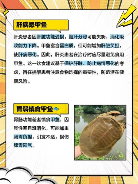 甲鱼的功效与作用及禁忌人群_哪些人不能吃甲鱼-第1张图片-山城妙识 甲鱼的功效与作用及禁忌人群_哪些人不能吃甲鱼-第1张图片-山城妙识