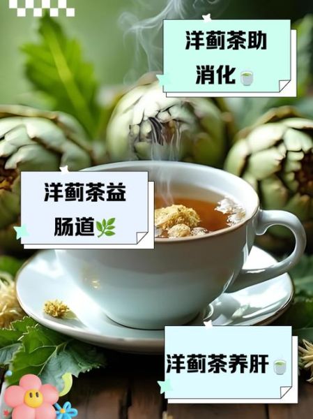 洋蓟茶的功效与作用_洋蓟茶怎么喝才有效-第2张图片-山城妙识 洋蓟茶的功效与作用_洋蓟茶怎么喝才有效-第2张图片-山城妙识
