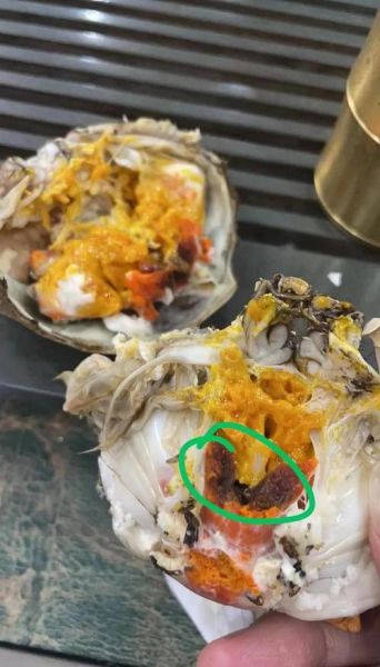 大闸蟹蟹黄稀苦_还能吃吗-第3张图片-山城妙识 大闸蟹蟹黄稀苦_还能吃吗-第3张图片-山城妙识