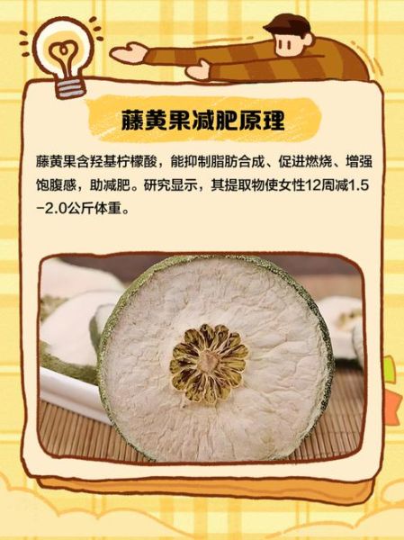 藤黄果减肥副作用有哪些_藤黄果减肥安全吗-第3张图片-山城妙识 藤黄果减肥副作用有哪些_藤黄果减肥安全吗-第3张图片-山城妙识