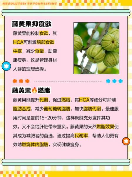 藤黄果减肥副作用有哪些_藤黄果减肥安全吗-第2张图片-山城妙识 藤黄果减肥副作用有哪些_藤黄果减肥安全吗-第2张图片-山城妙识